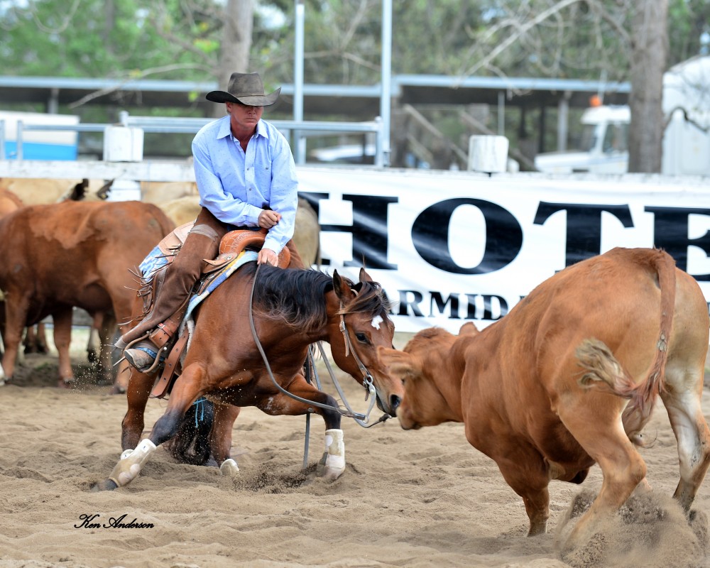Dean Rogan Clover Limelight – Dave Rogan Saddlery
